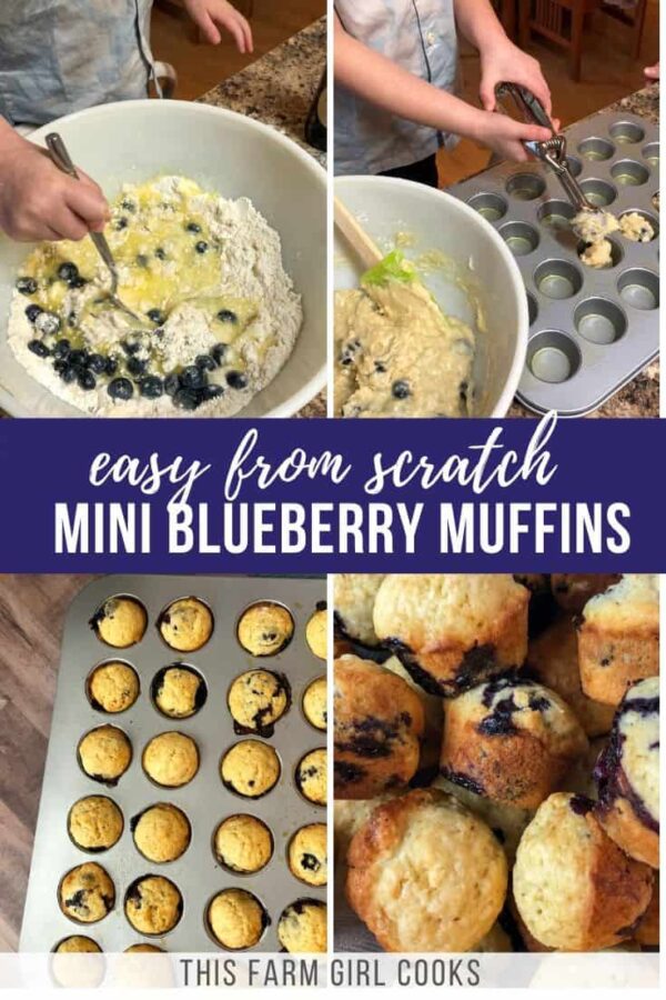 Mini Blueberry Muffins | Kid Approved Recipe!