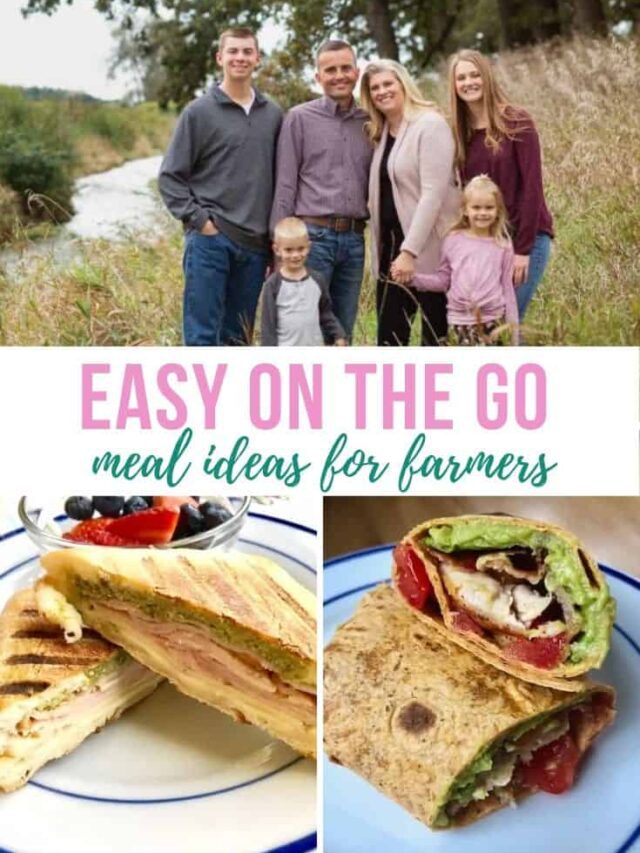 Meals for Families on the Go - This Farm Girl Cooks