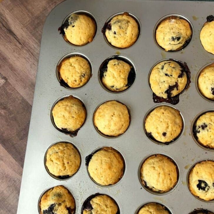 Mini Blueberry Muffins | Kid Approved Recipe!
