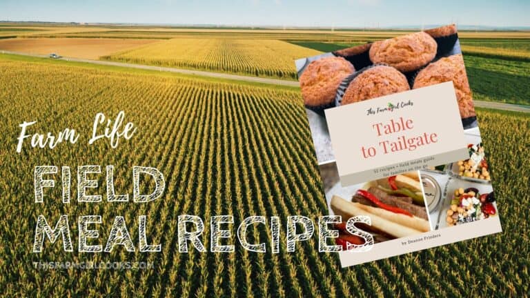 Handheld Meal Ideas for Farmers and Families on the Go!