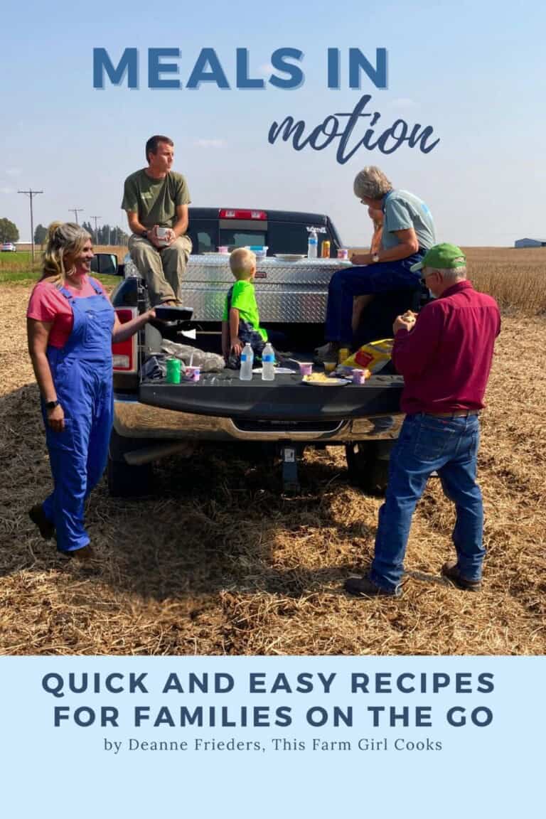 Handheld Meal Ideas for Farmers and Families on the Go!